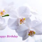 Открытки с днем рождения на английском языке - Happy Birthday